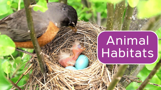 Habitats Video & Resources | ClickView Habitats Video & Resources | ClickView