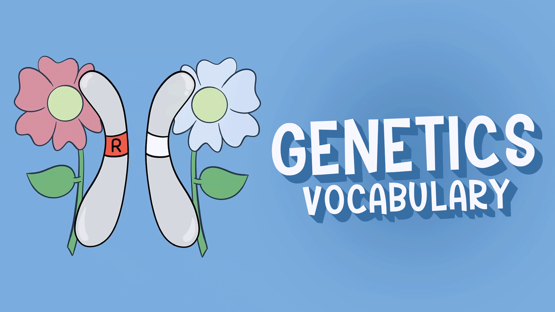 Genetics Vocabulary: Before the Bell Biology | ClickView