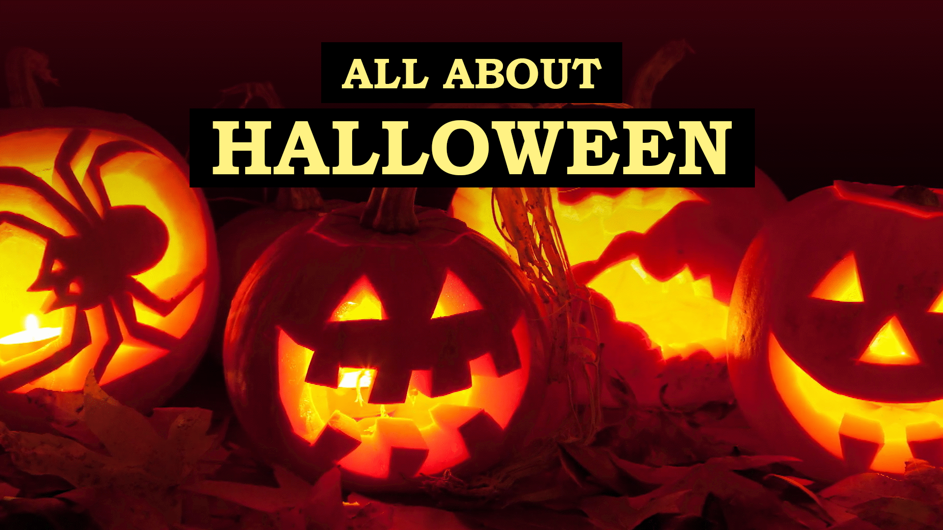 All About Halloween Video & Resources | ClickView