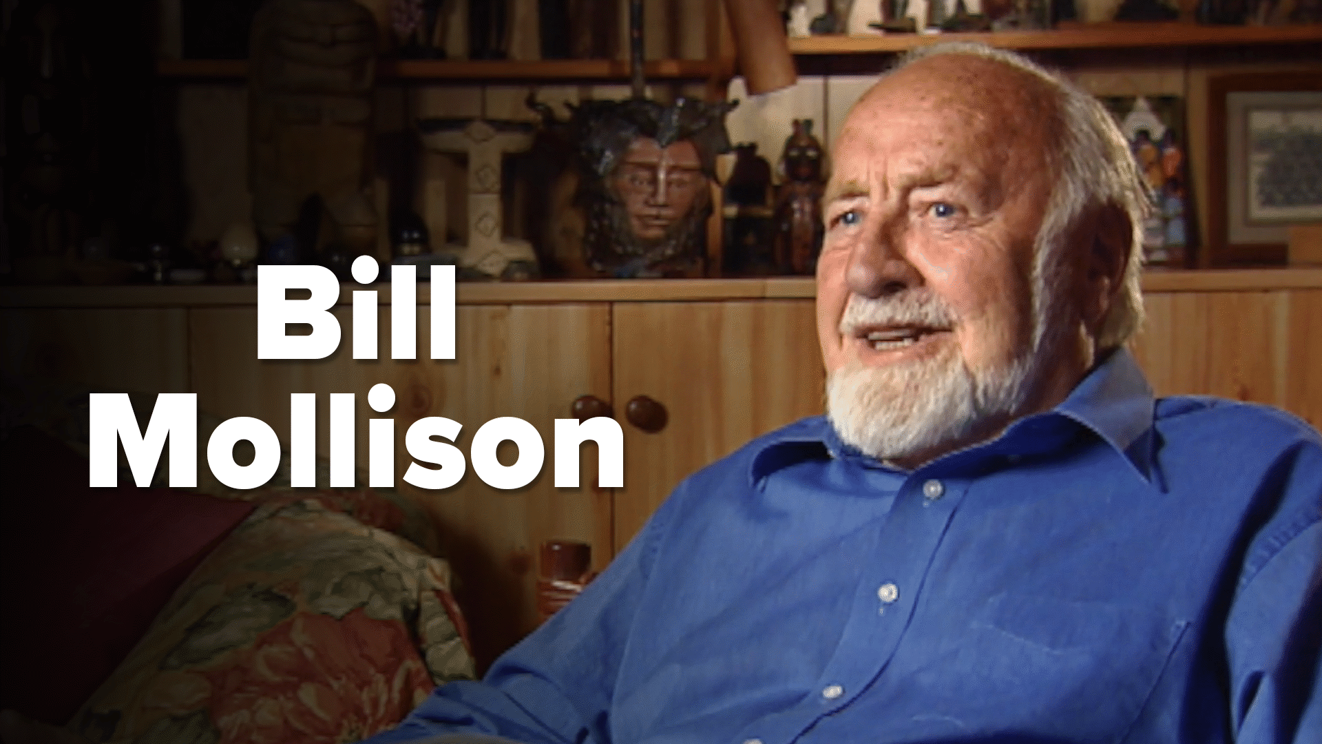 Latest Movies + TV Videos & Resources | ClickView