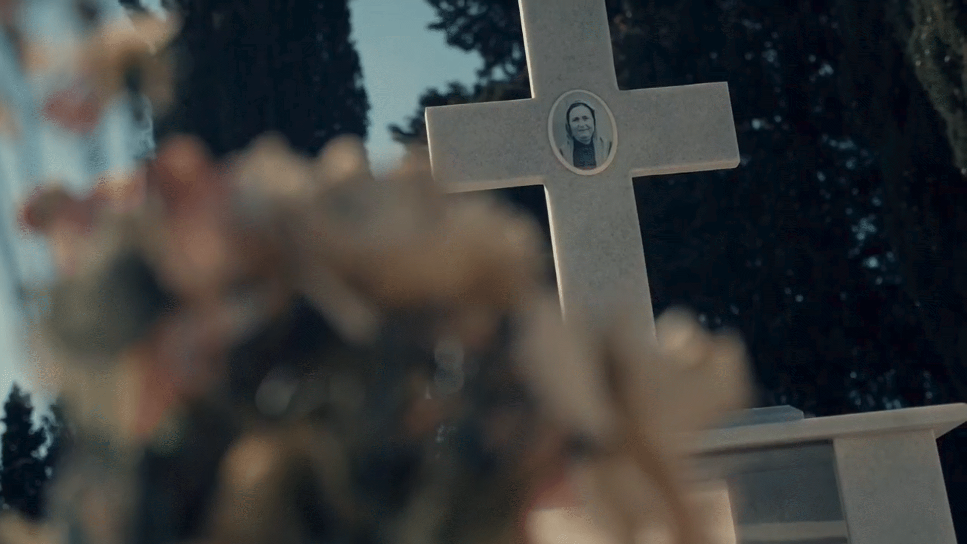 Poems by Luka Lesson Videos & Resources | ClickView