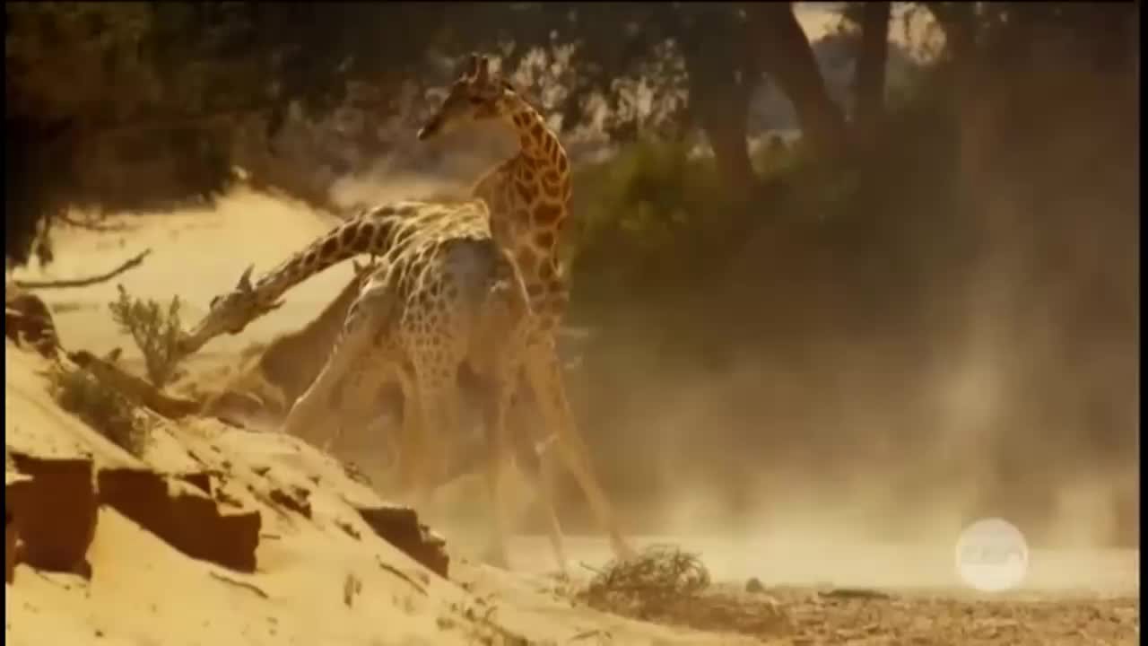 Africa - The Future - David Attenborough come... - ClickView