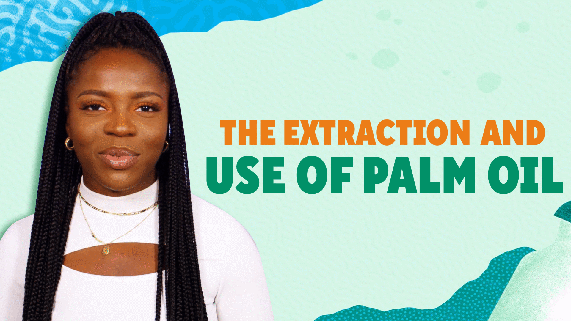 What Is Palm Oil? Video & Resources | ClickView