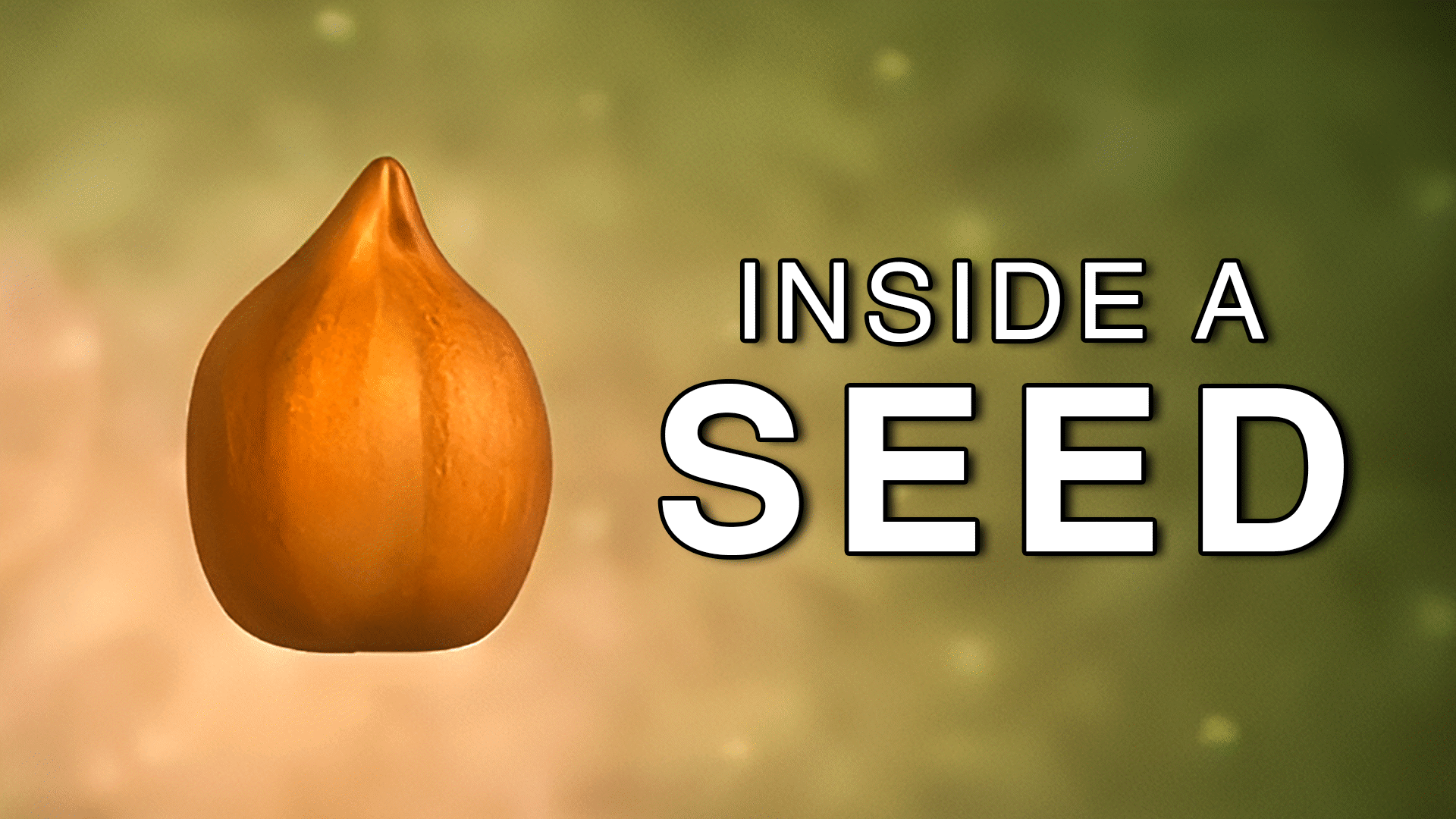 Understanding Life Systems: Growth and Changes in Plants | ClickView