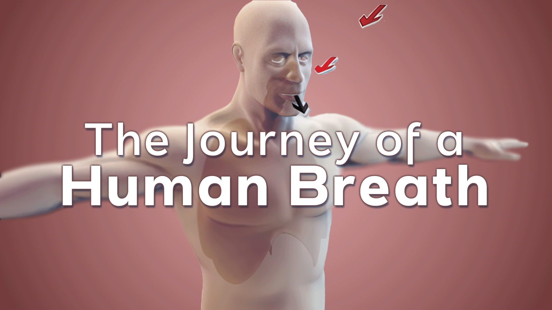 Follow a Human Breath Video & Resources | ClickView