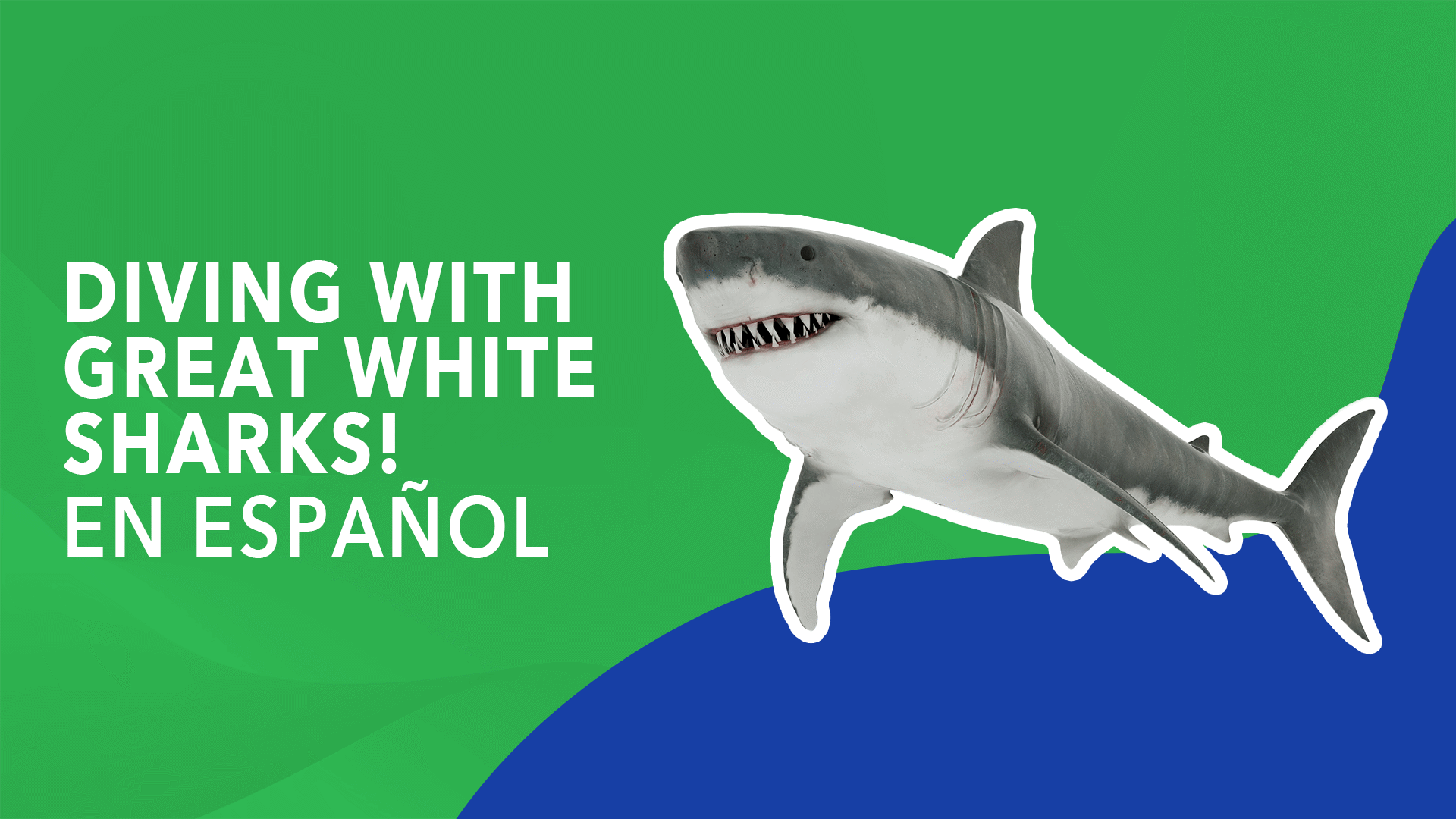 The Ocean Lab Video Field Trips | Streamable Learning