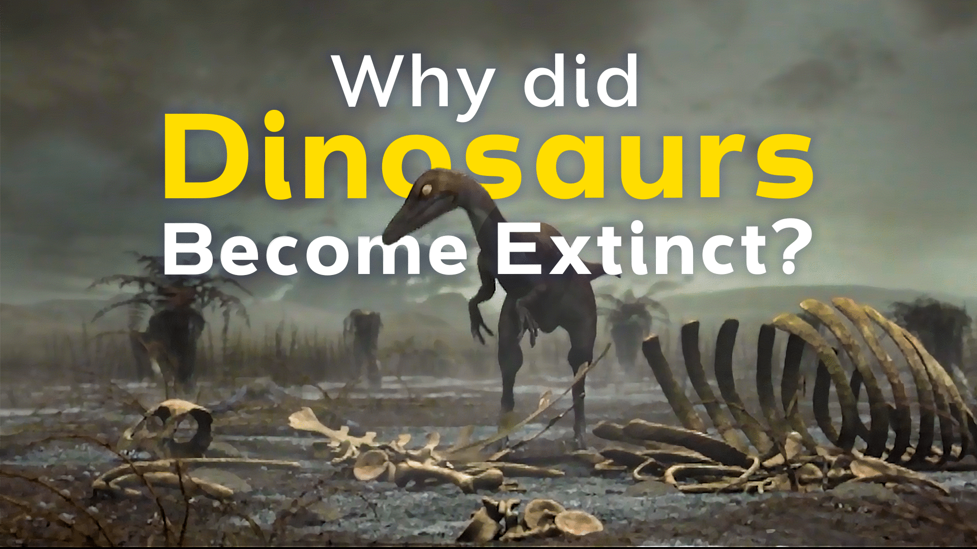 Dinosaur Extinction Video & Resources | ClickView