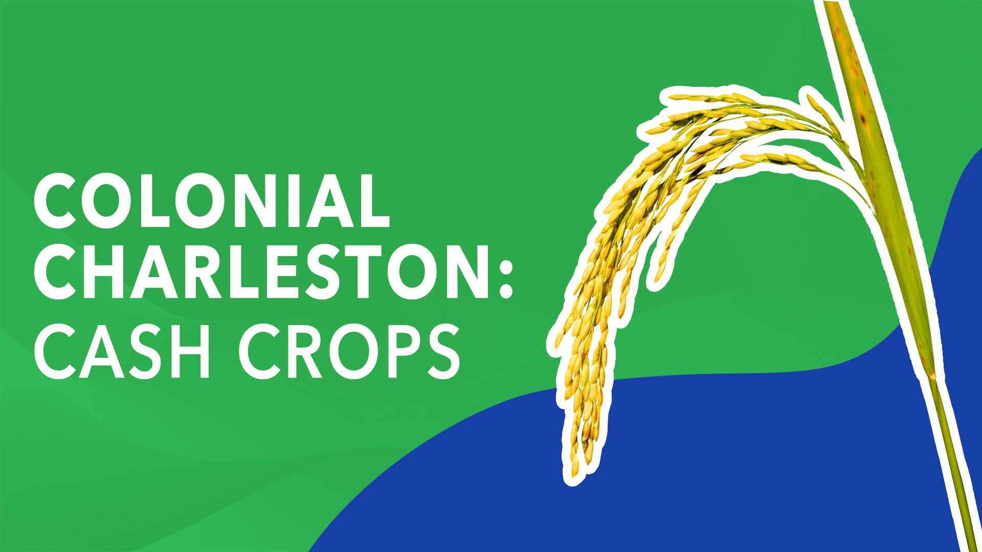 The Charleston Museum presents Colonial Charleston: Cash Crops ...