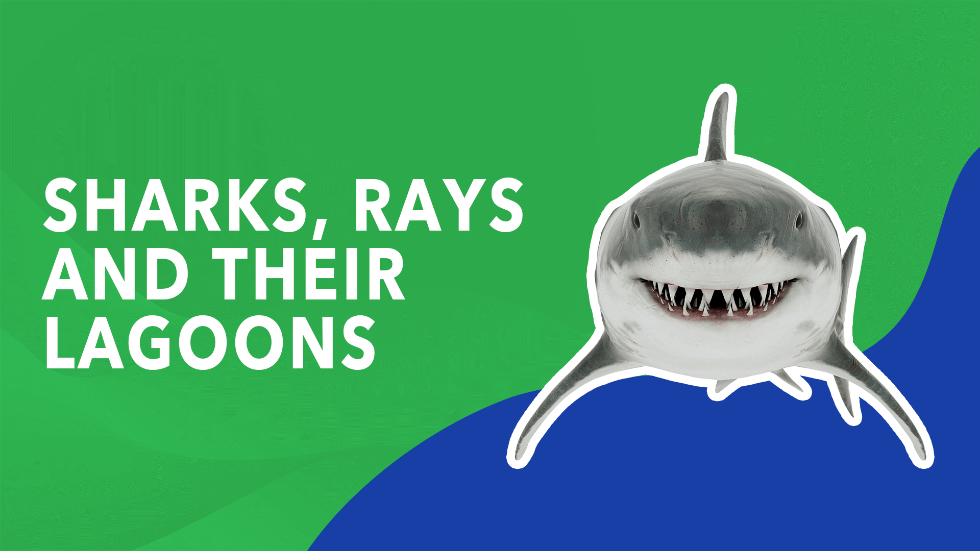 California Academy of Sciences presents Sharks, Rays and Their Lagoons ...
