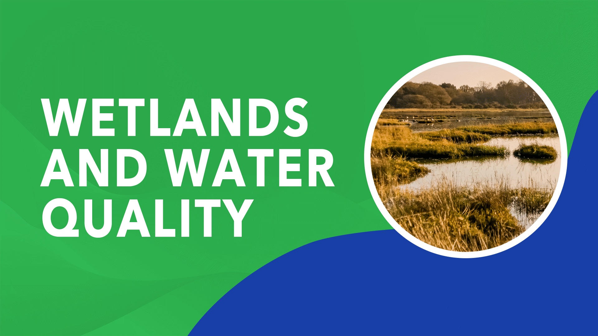 Wetlands and Water Quality Recording | Streamable Learning