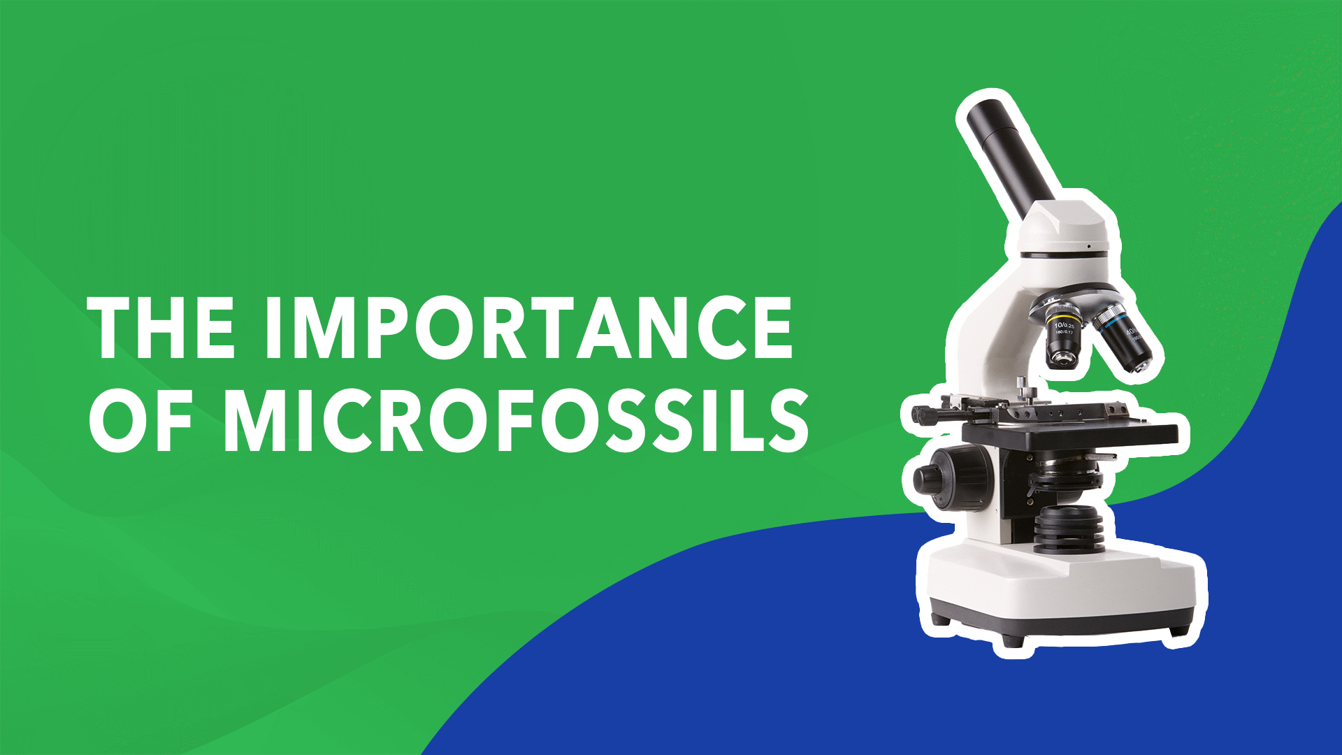 From Megafauna to Microscopes: The Importance of Microfossils | Streamable Learning