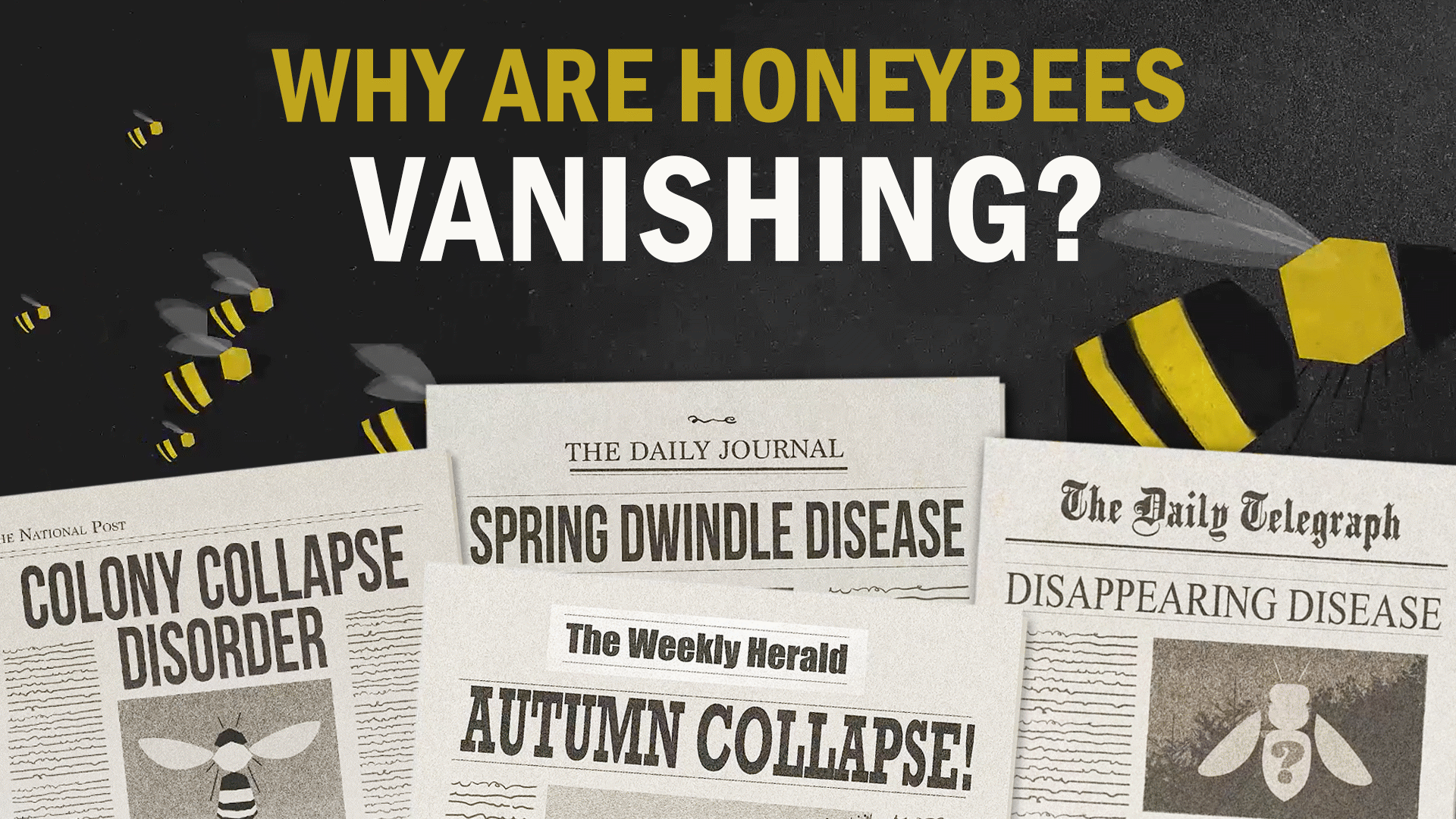 The Case of the Vanishing Honeybees | ClickView