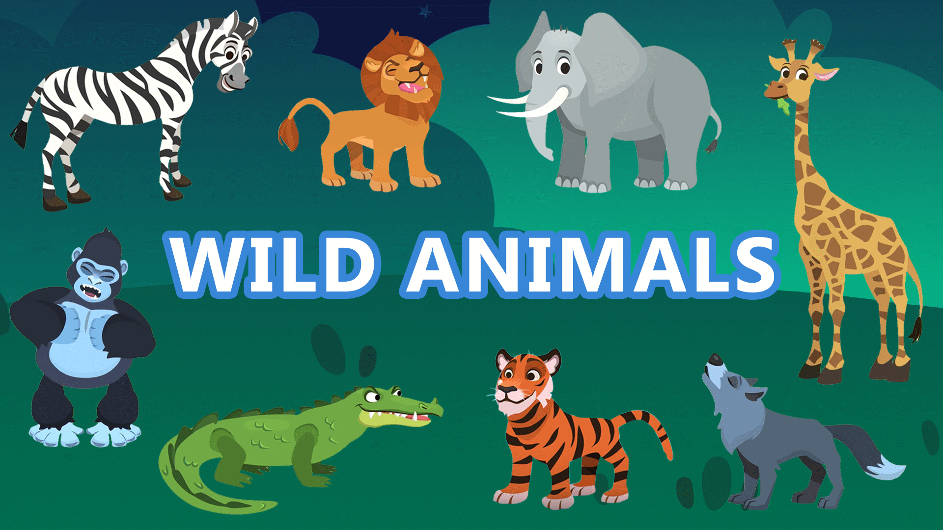 Wild Animals Video & Resources | ClickView
