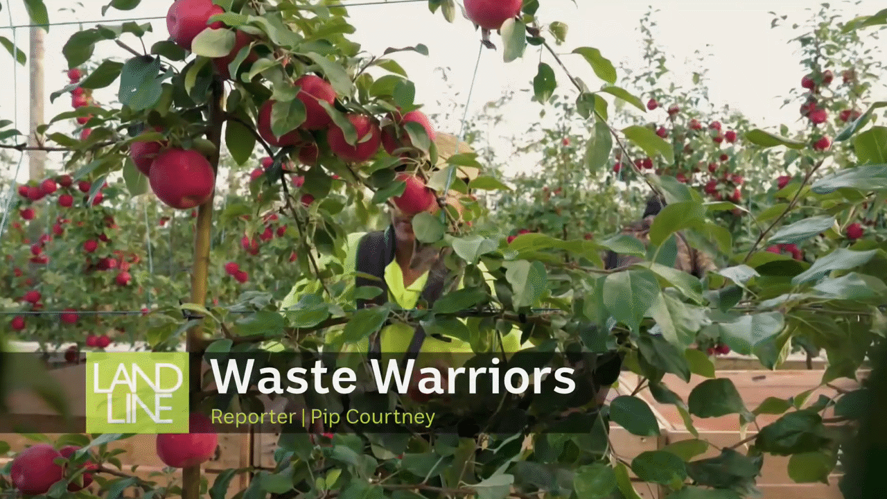 Waste Warriors - We meet the waste warriors t... - ClickView
