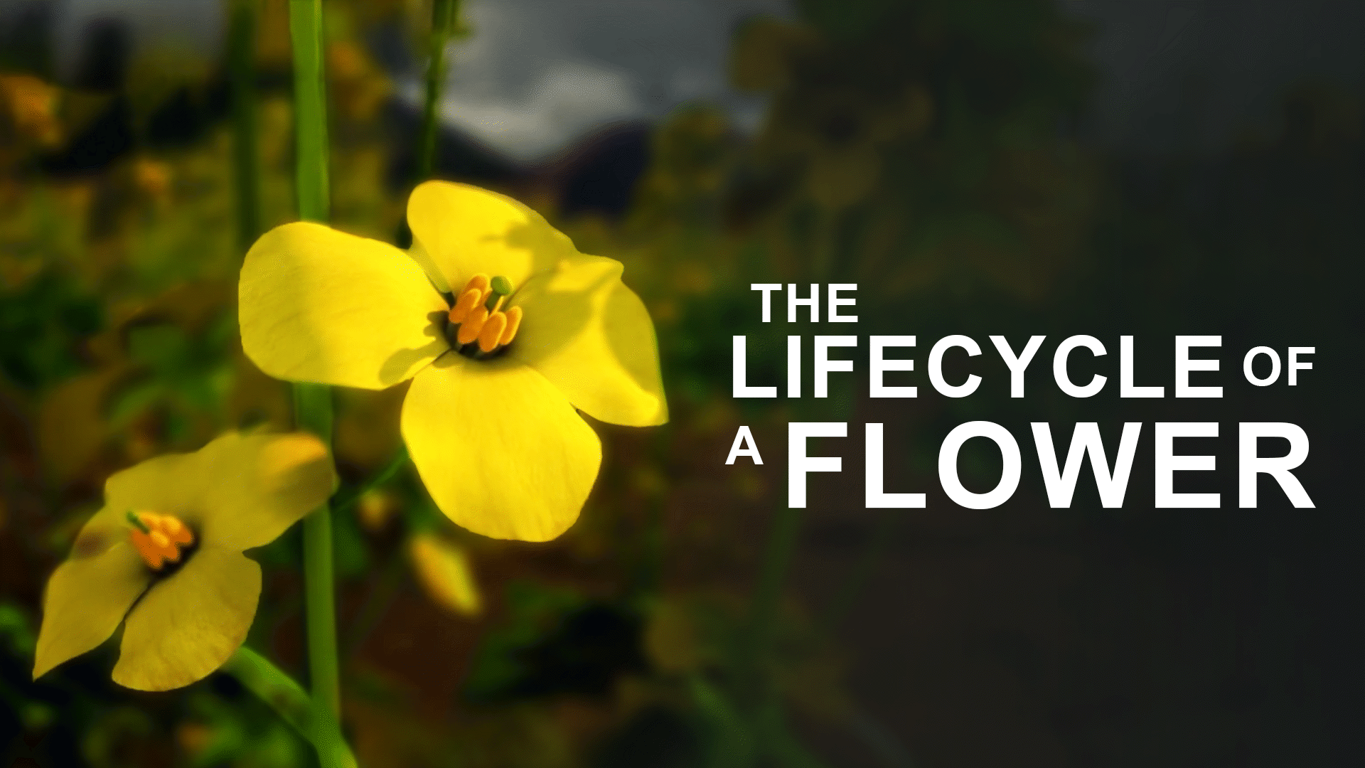 Understanding Life Systems: Growth and Changes in Plants | ClickView