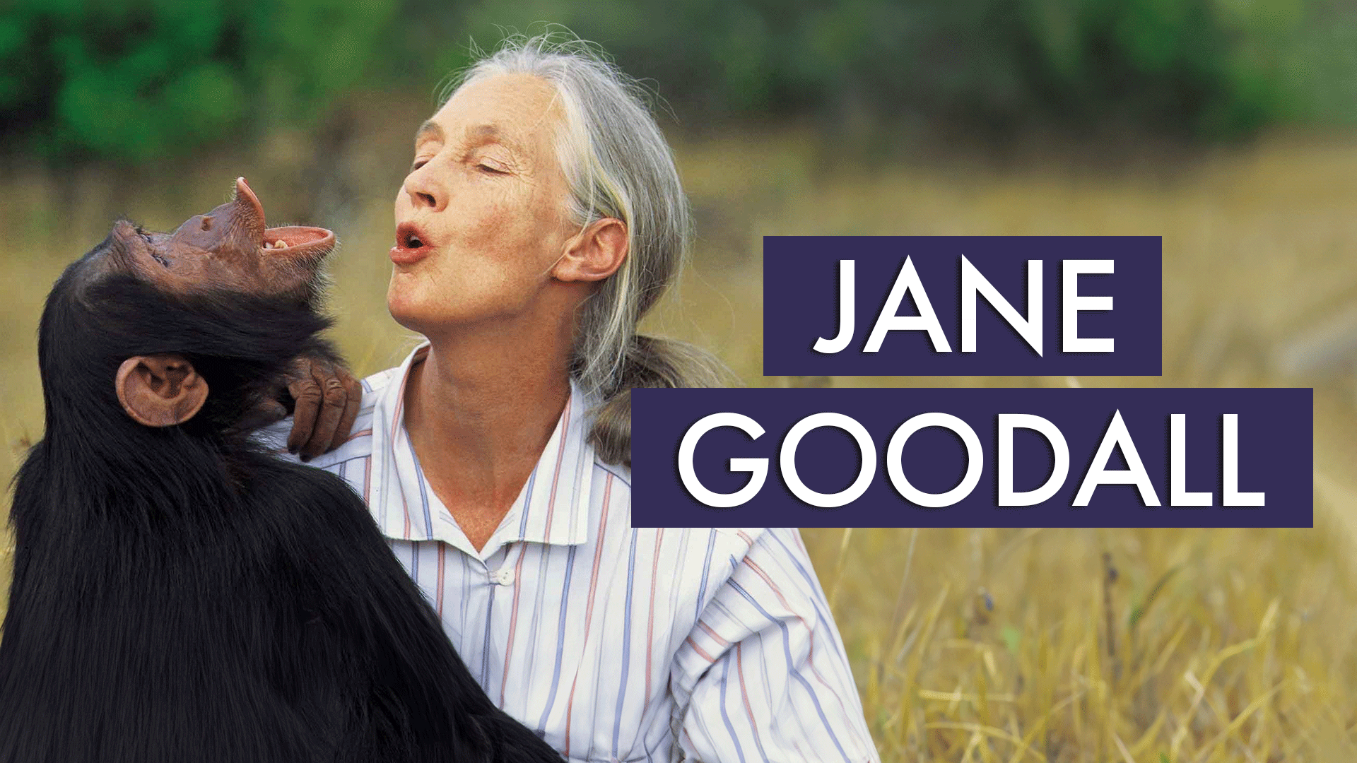 Jane Goodall Video & Resources | ClickView