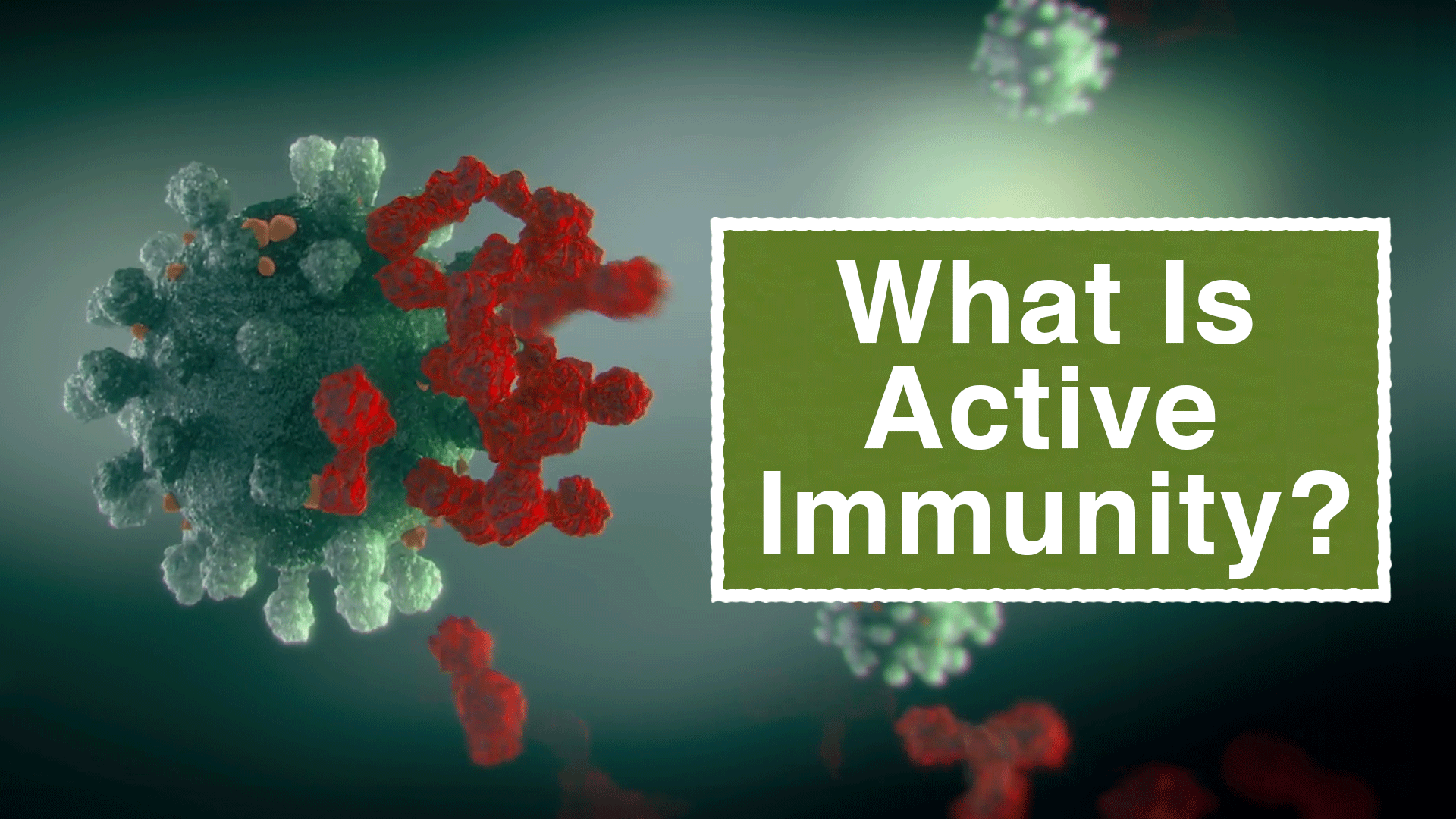 What Is Active Immunity? Video & Resources | ClickView