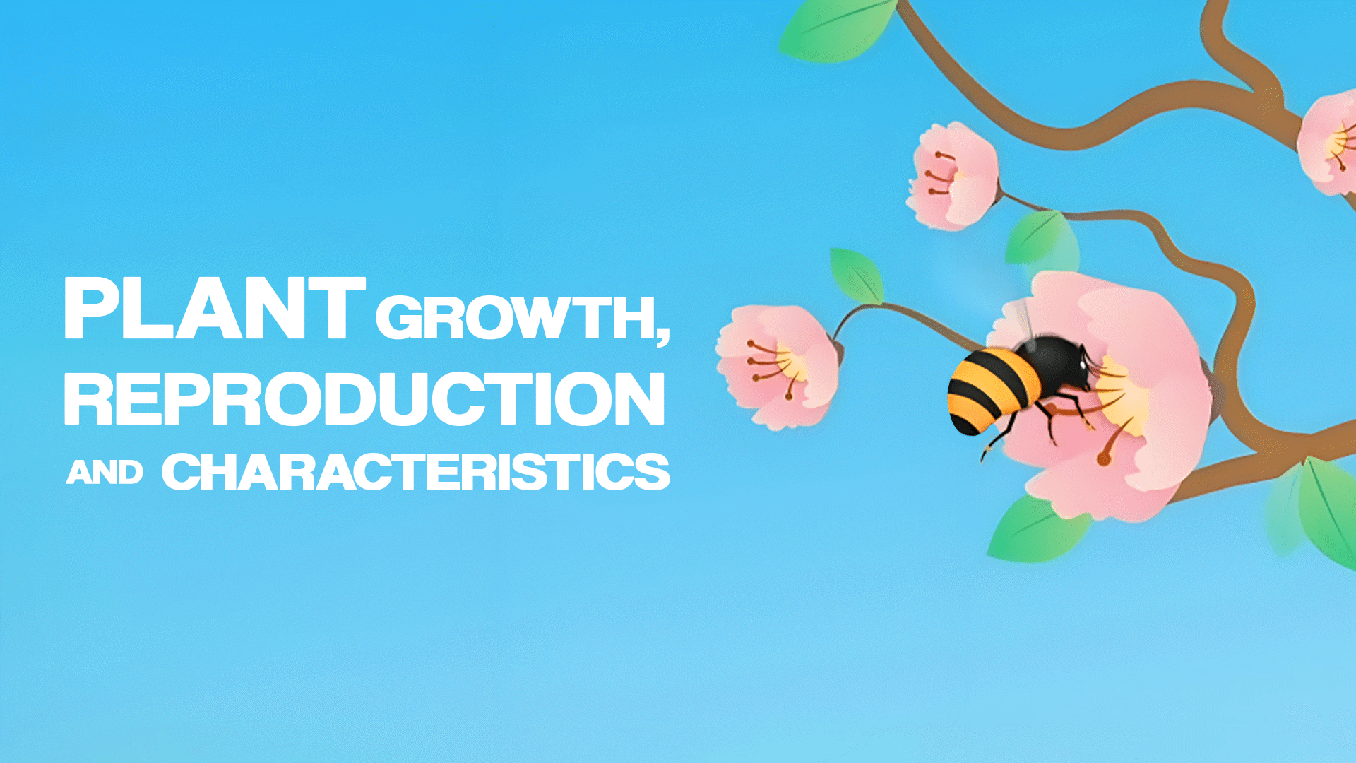 The Characteristics of Plants Video & Resources | ClickView