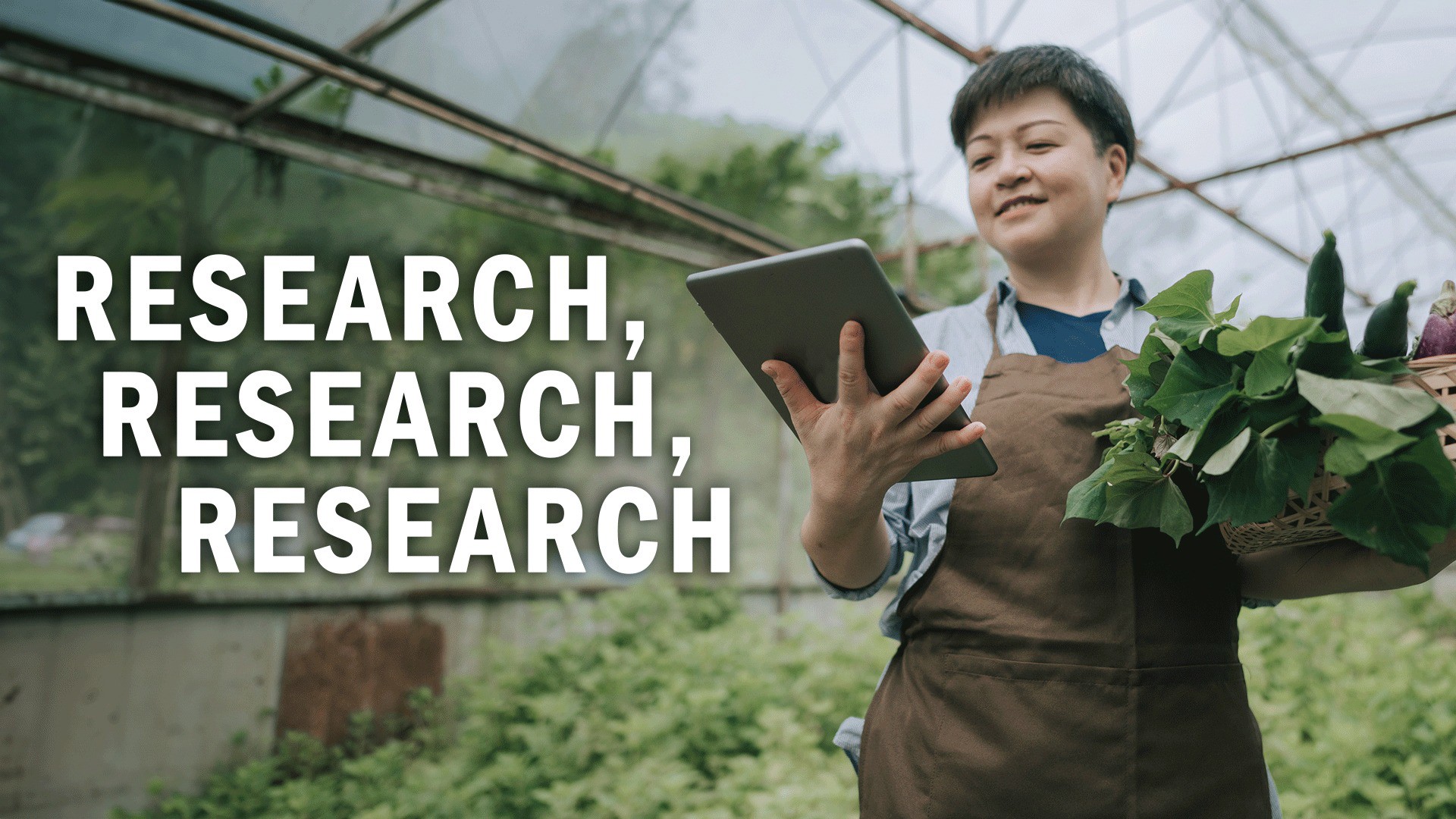 Launching a Food Product Videos & Resources | ClickView