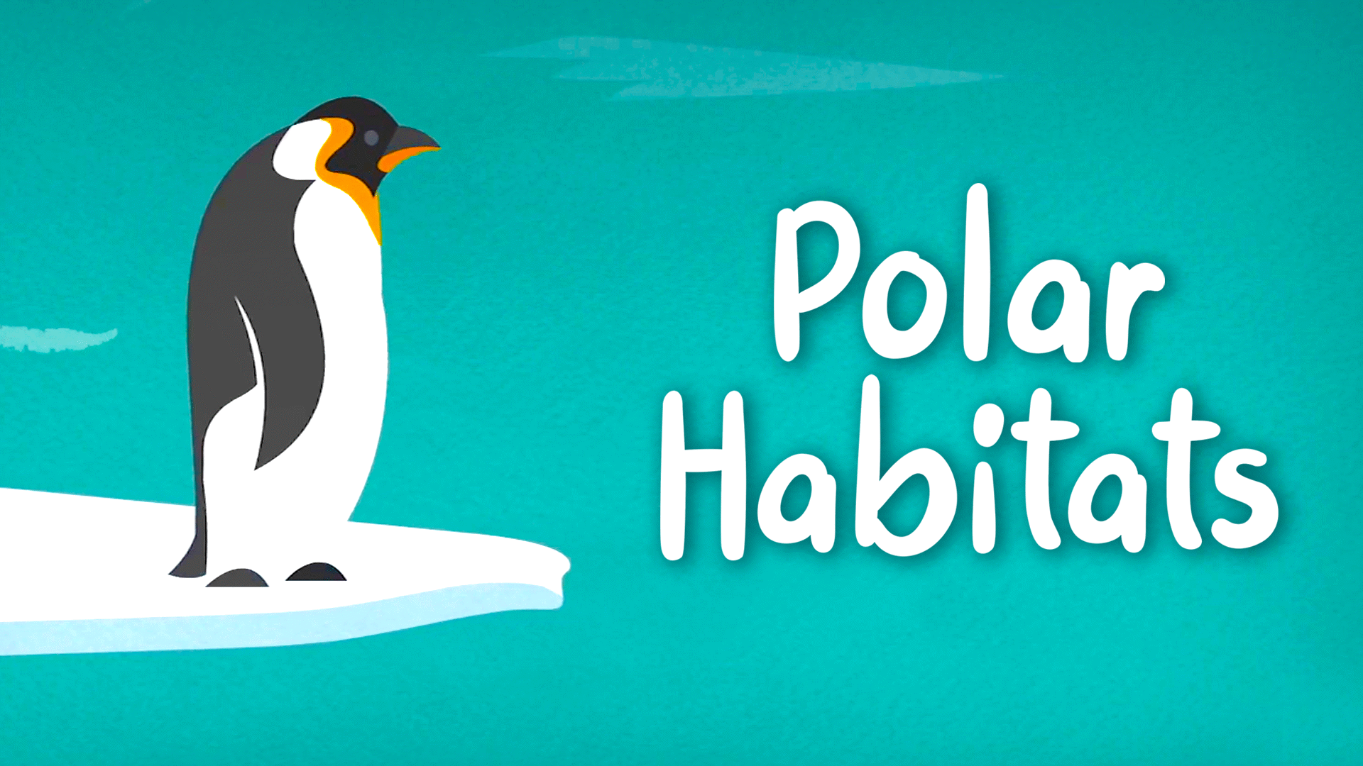 What Is a Polar Habitat? Video & Resources | ClickView