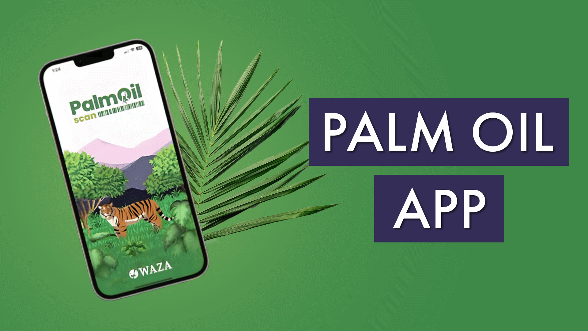 Palm Oil App Video & Resources | ClickView