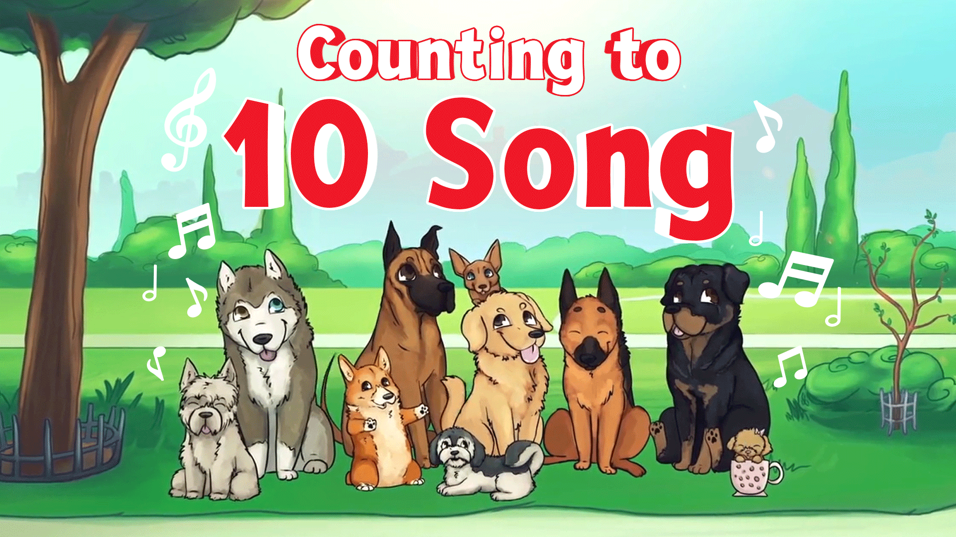 Numberock Videos & Resources | ClickView