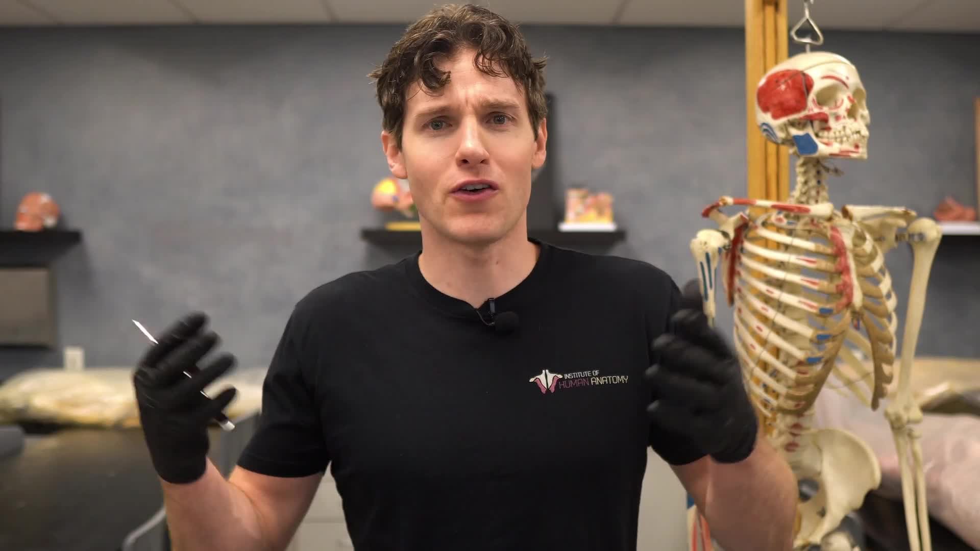 Discover New Secondary Videos & Resources | ClickView