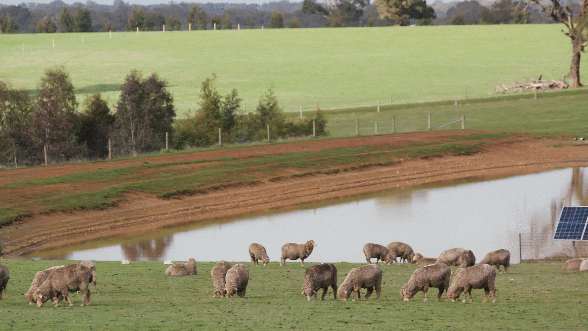 Agriculture and the Triple Bottom Line | ClickView