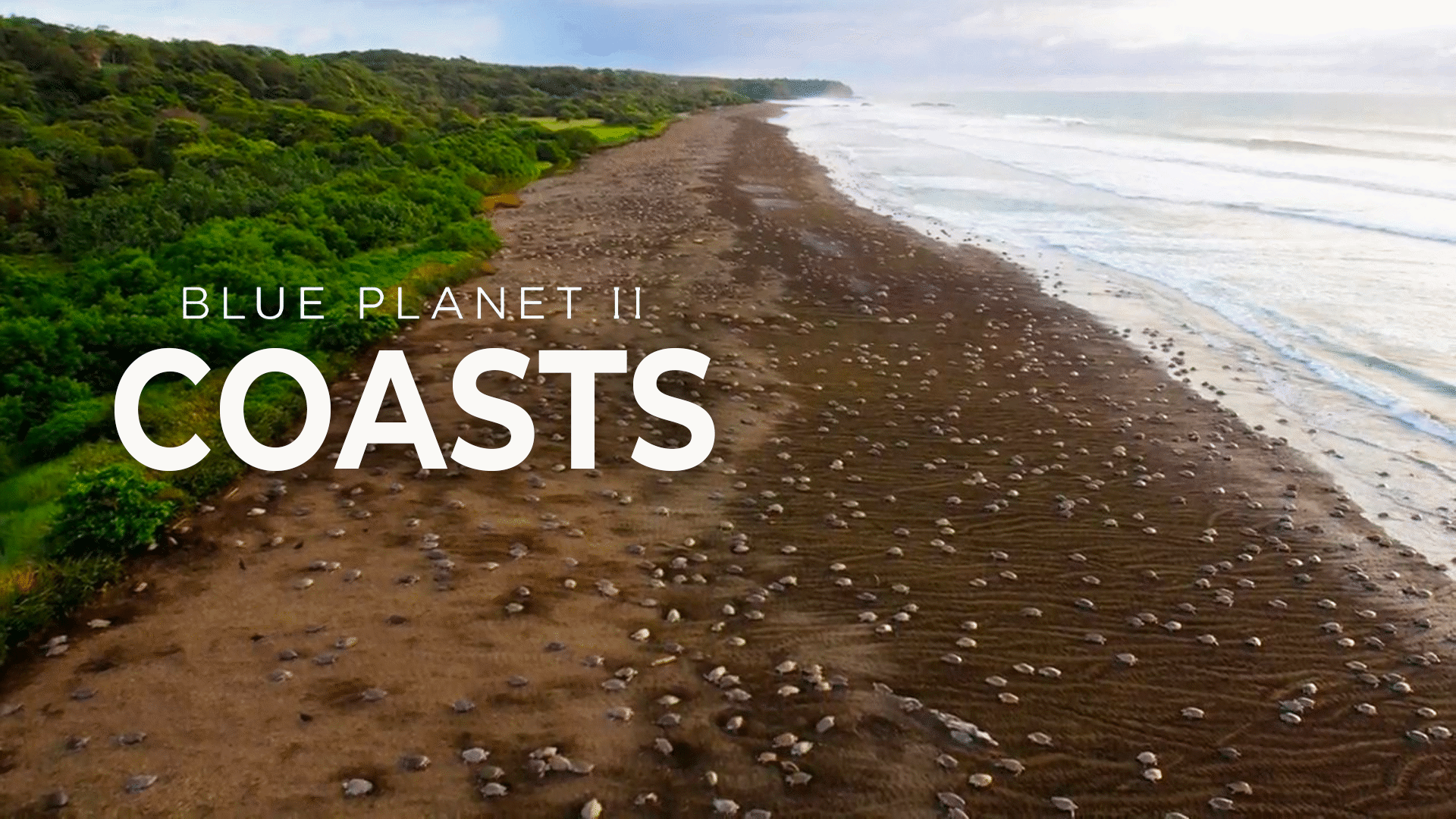 David Attenborough's Blue Planet II | ClickView