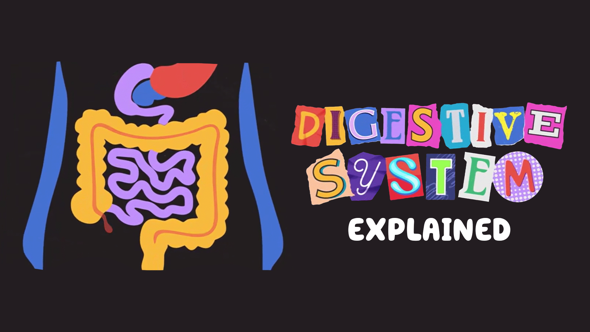 Digestive System Video & Resources | ClickView