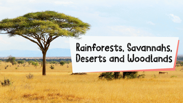 Types of Habitats Video & Resources | ClickView Types of Habitats Video & Resources | ClickView