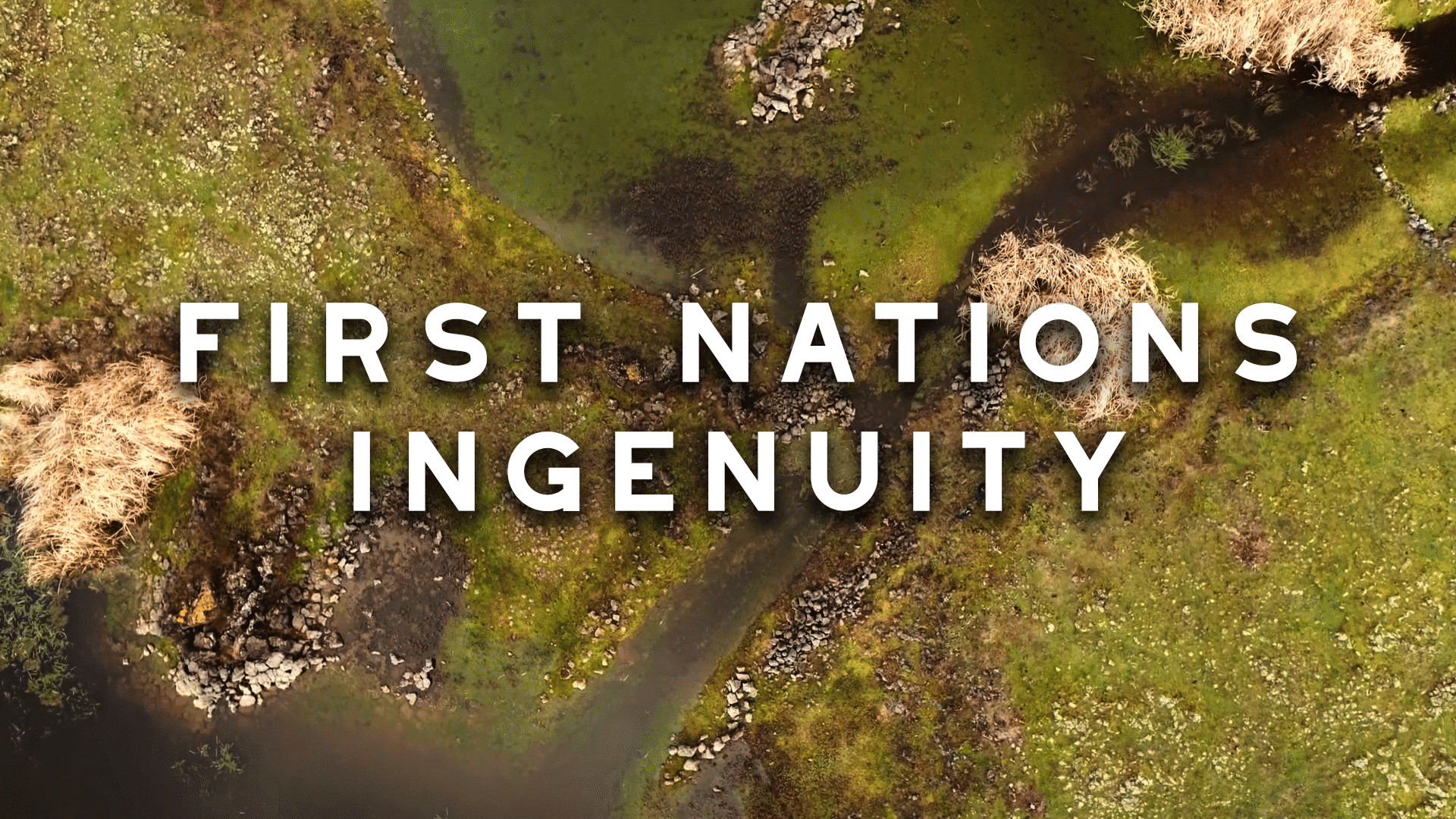 The First Inventors Videos & Resources | ClickView