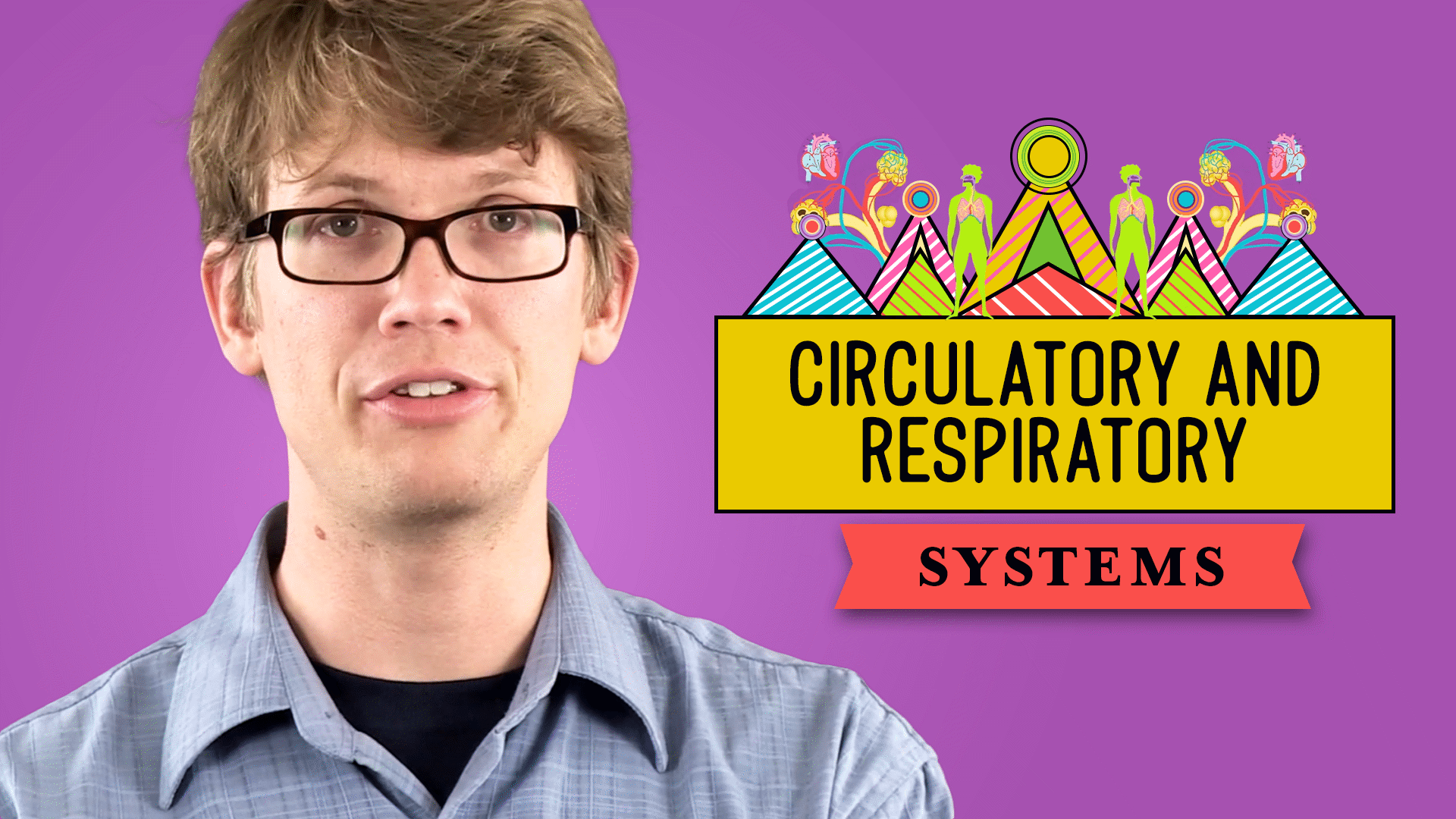 Circulatory and Respiratory Systems | ClickView