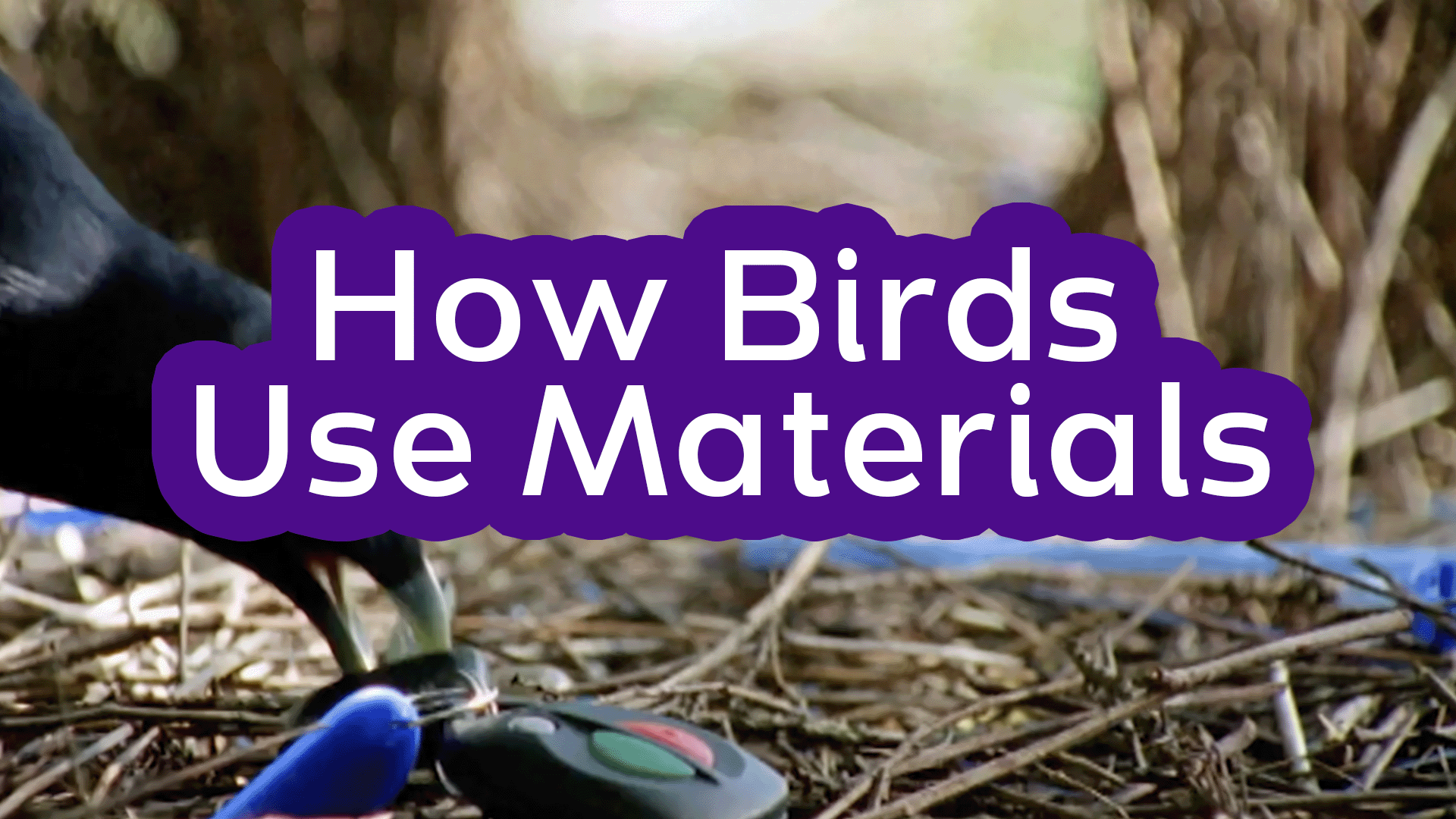 Classifying Materials | ClickView