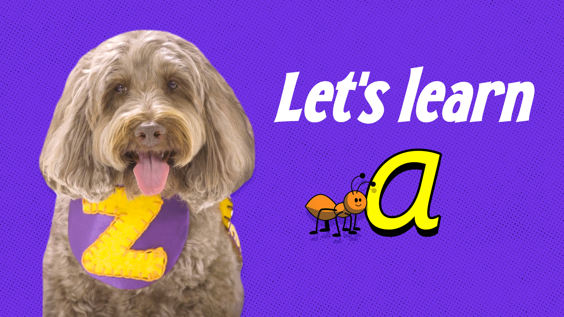 Phonics Adventures with Zelda Videos & Resources | ClickView