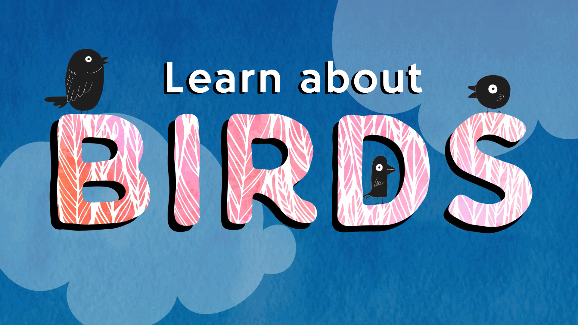 Feathered Friends: Learning about Birds | ClickView