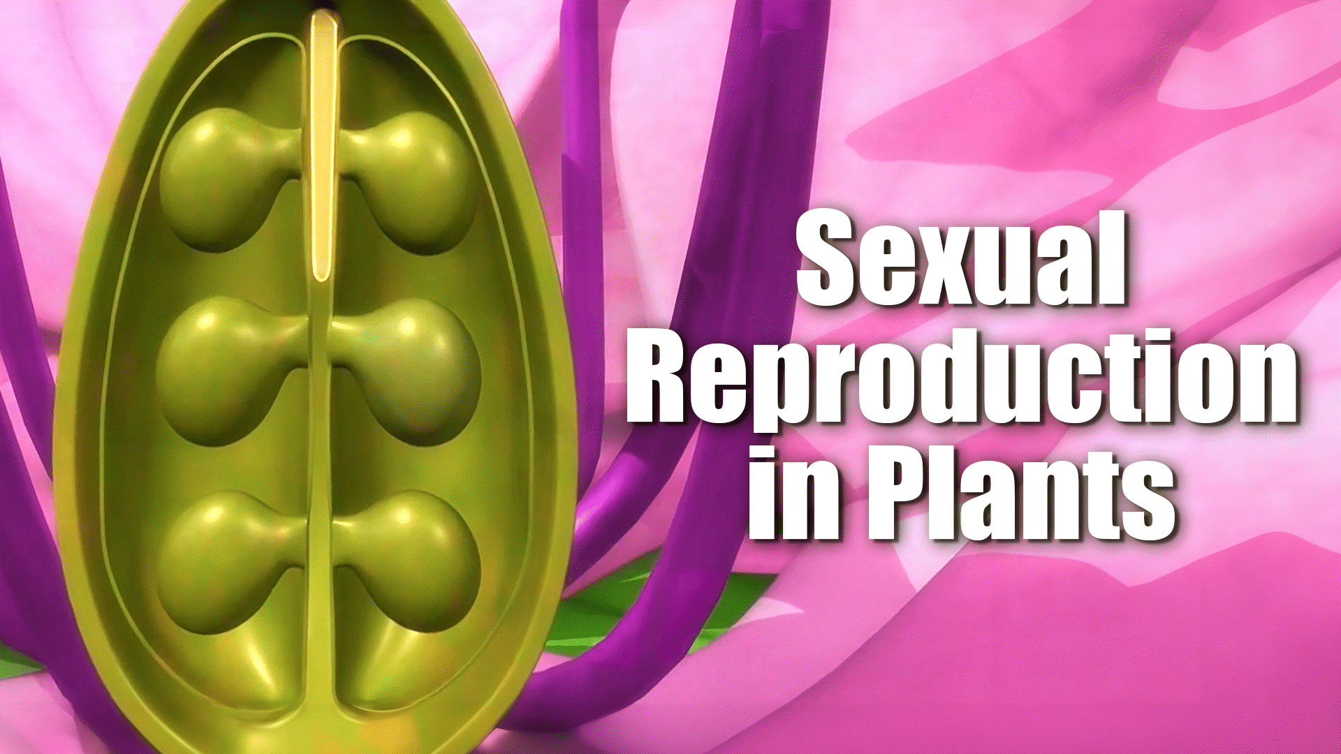 Reproduction in Plants Videos & Resources | ClickView