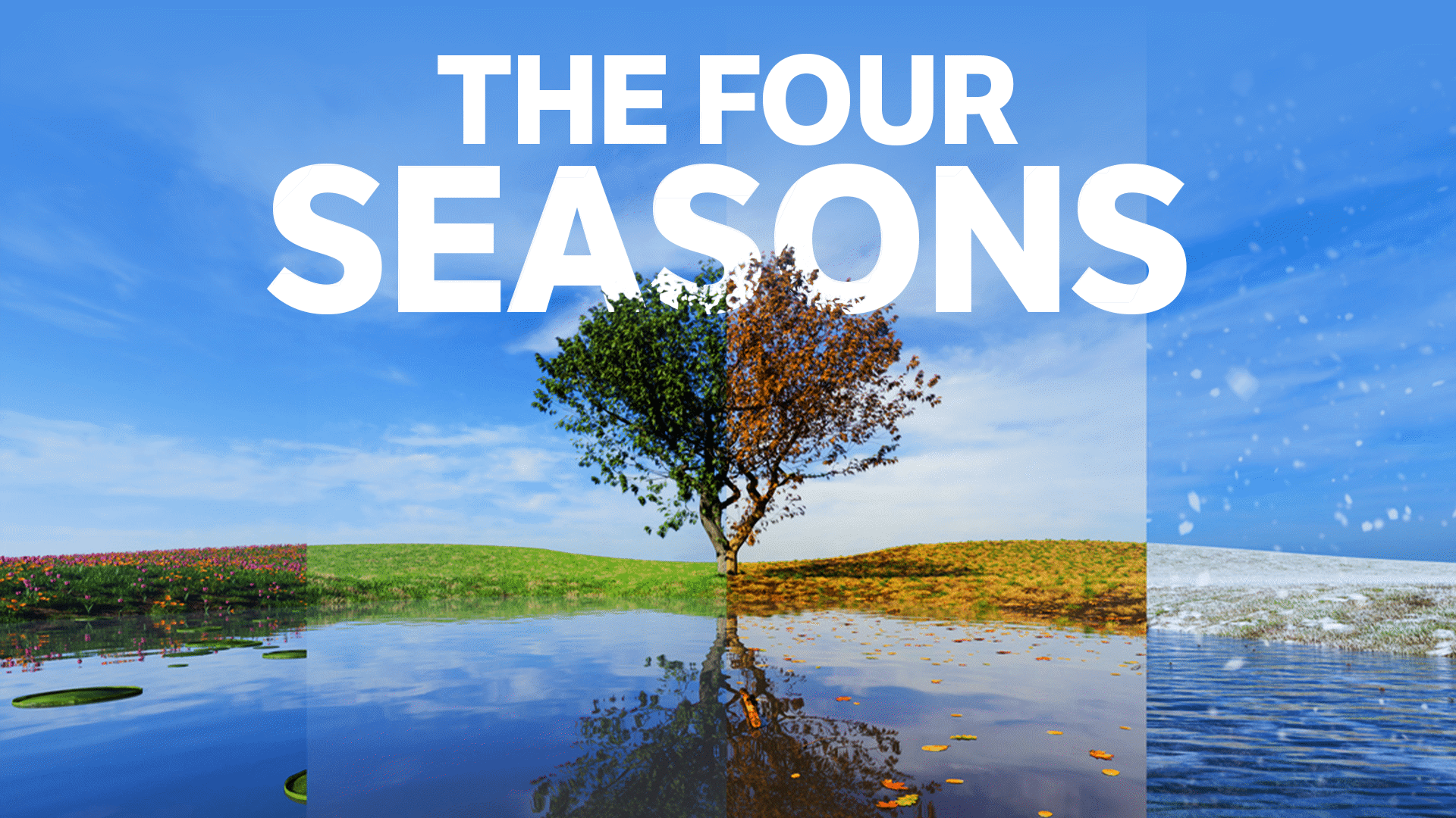 Elementary Videos, Resources & Worksheets | ClickView