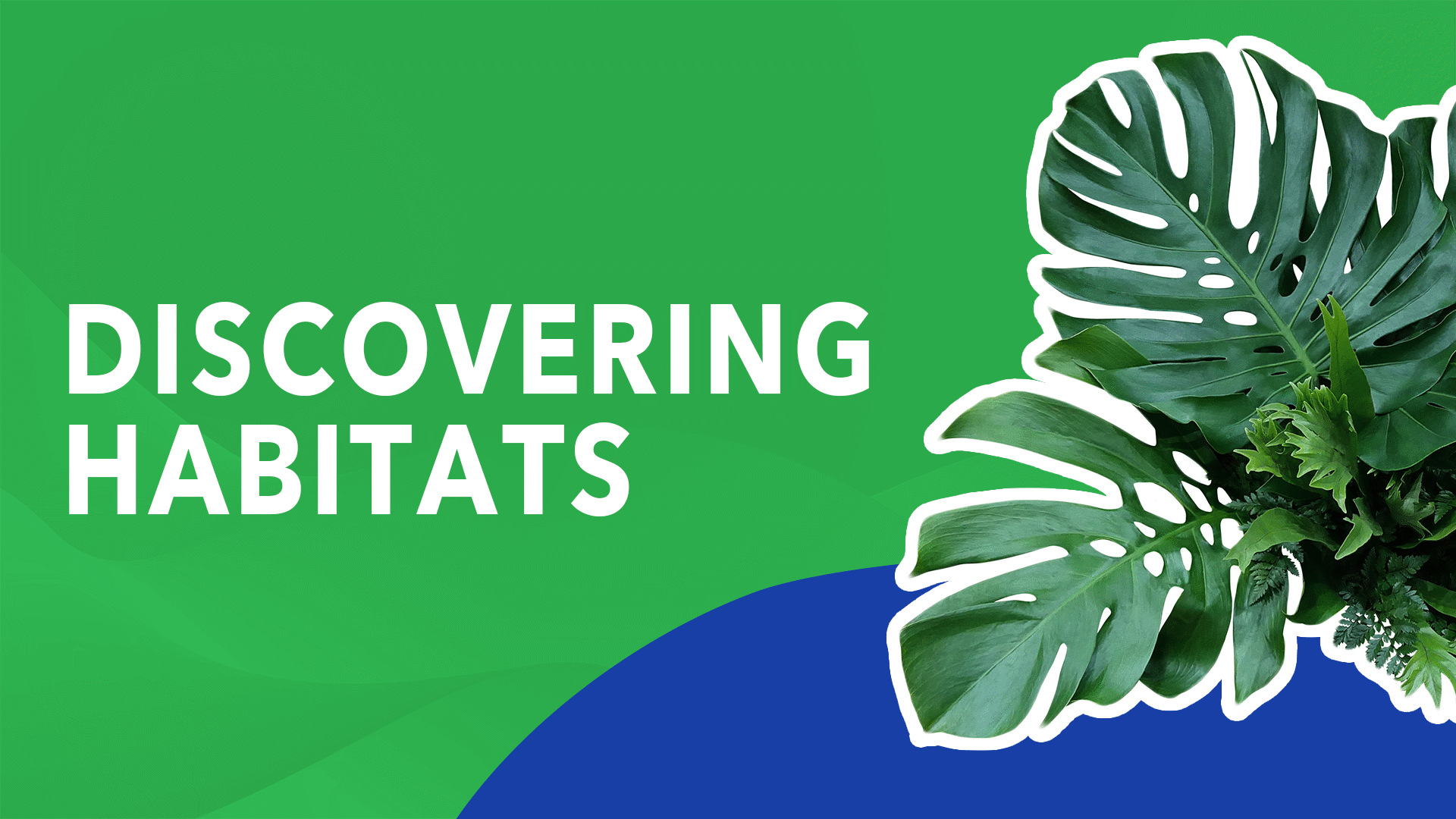 Discovering Habitats Recording | Streamable Learning