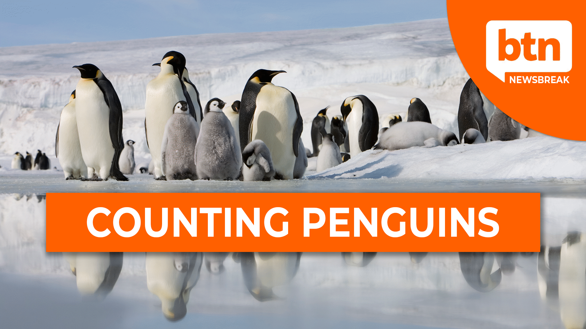 Climate Penguins Video & Resources | ClickView