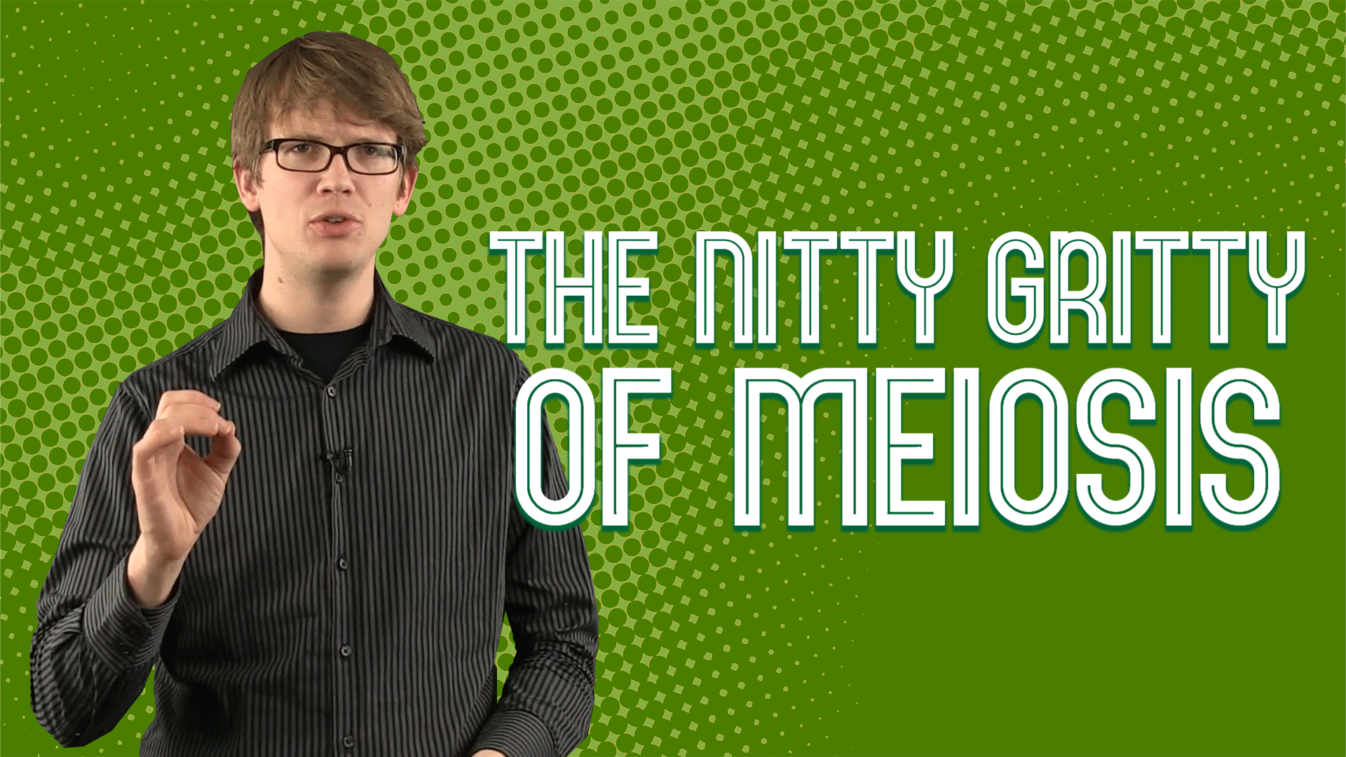 Meiosis Where The Sex Starts Video And Resources Clickview