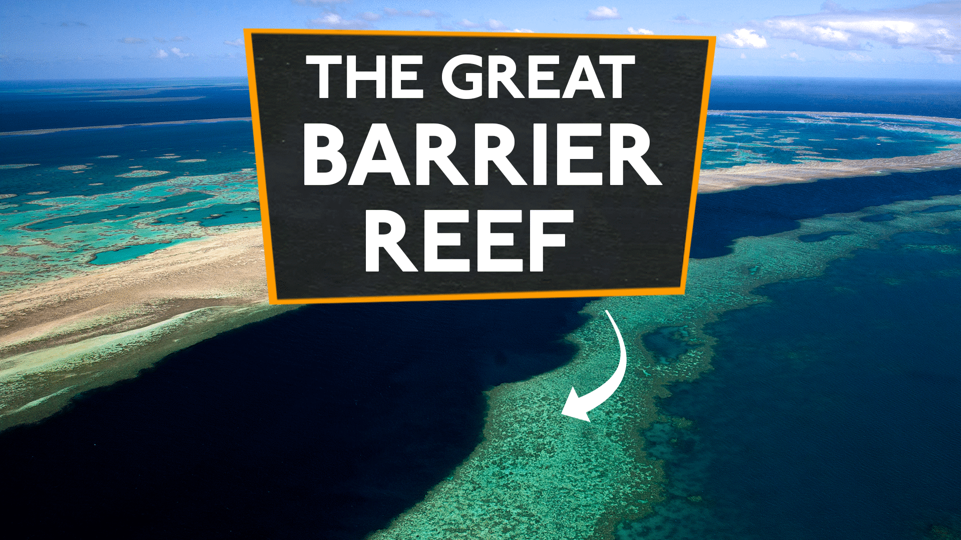 Check Out the Great Barrier Reef! | ClickView