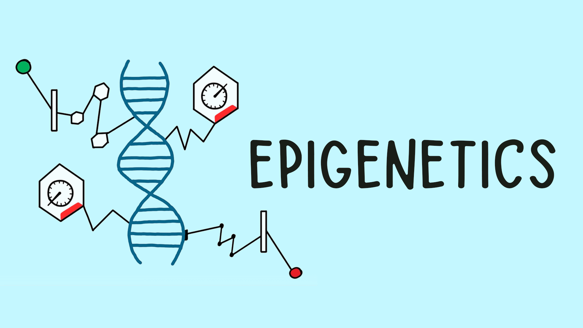 Epigenetics: Why Inheritance Is Weirder Than We Thought | ClickView