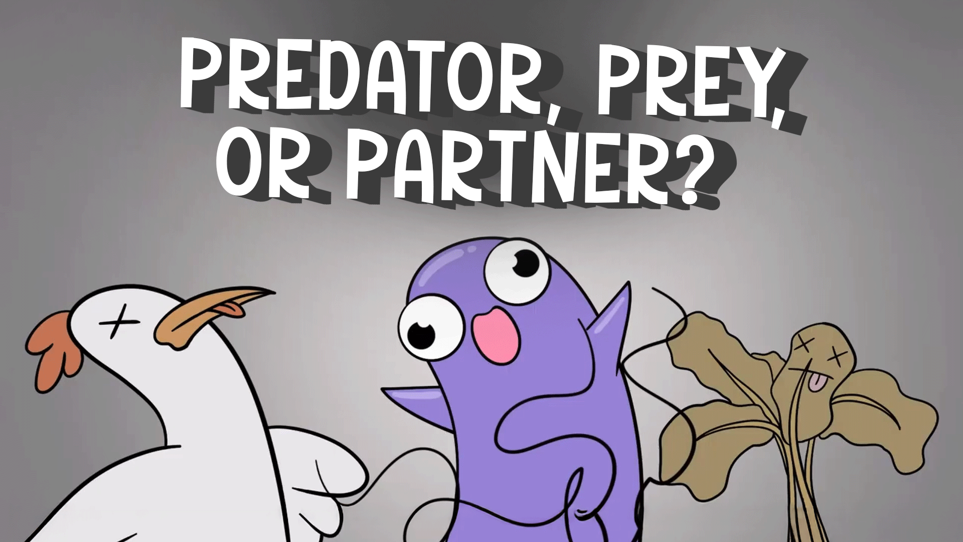 Ecology Review: Food Chains & Webs, Relationships, Nitrogen & Carbon ...