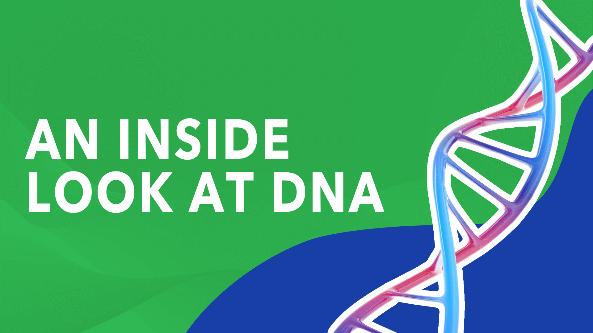Museum of Health Care at Kingston presents An Inside Look at DNA ...