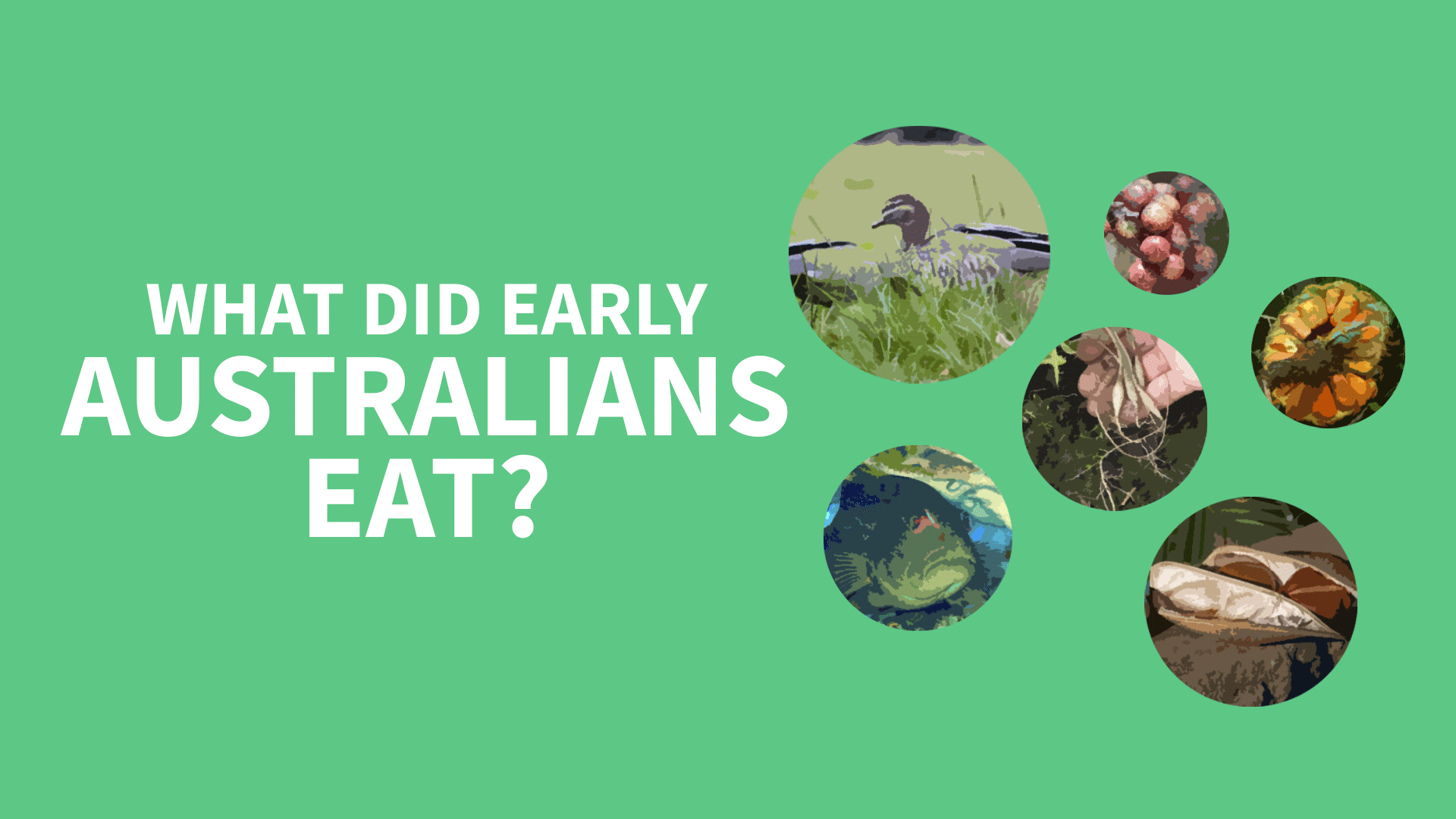 Deep Time History of Australia | ClickView