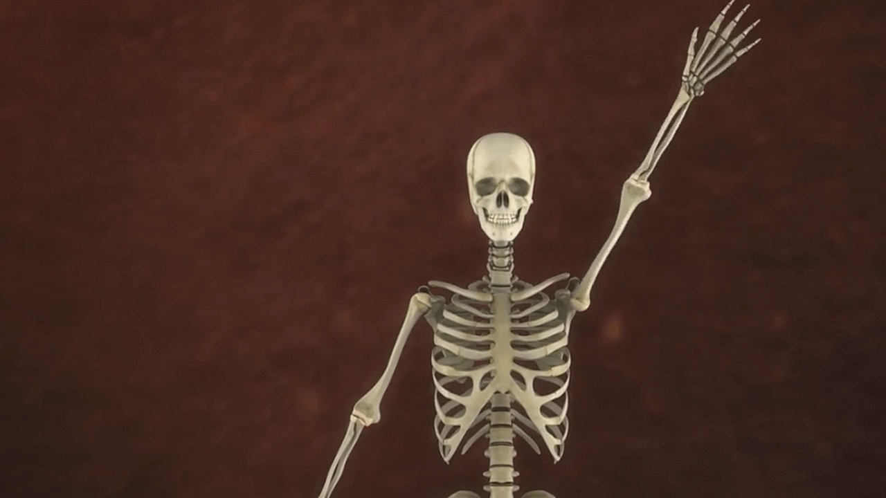 Our Skeletal System Videos Resources Clickview