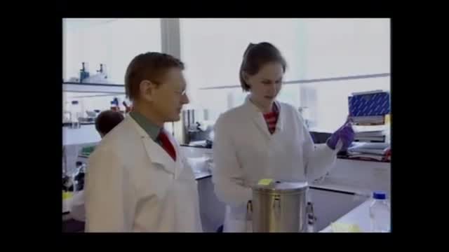 The Race To Size Double Zero - Two journalist... - ClickView