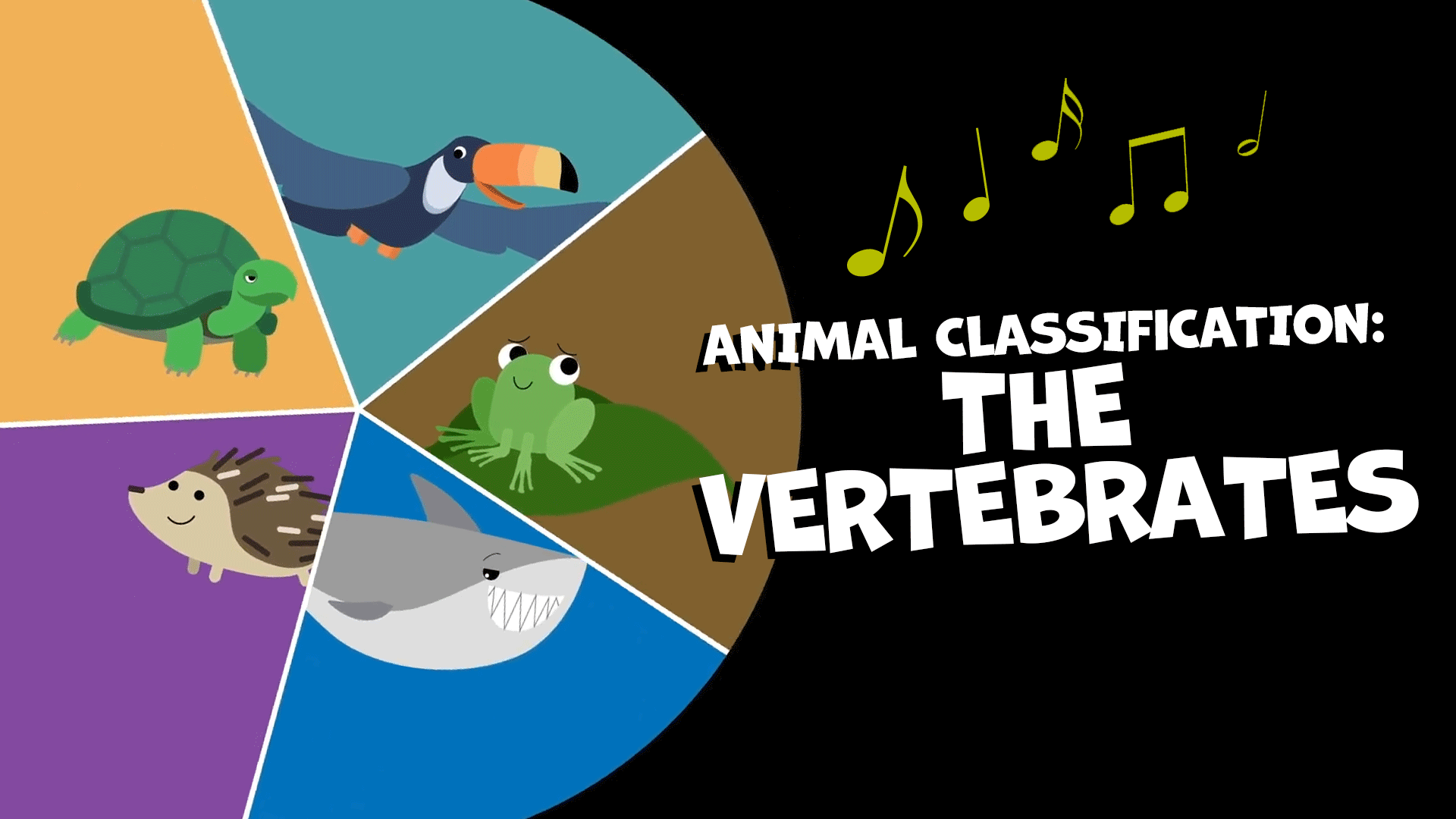 Animal Classification: The Vertebrates | ClickView