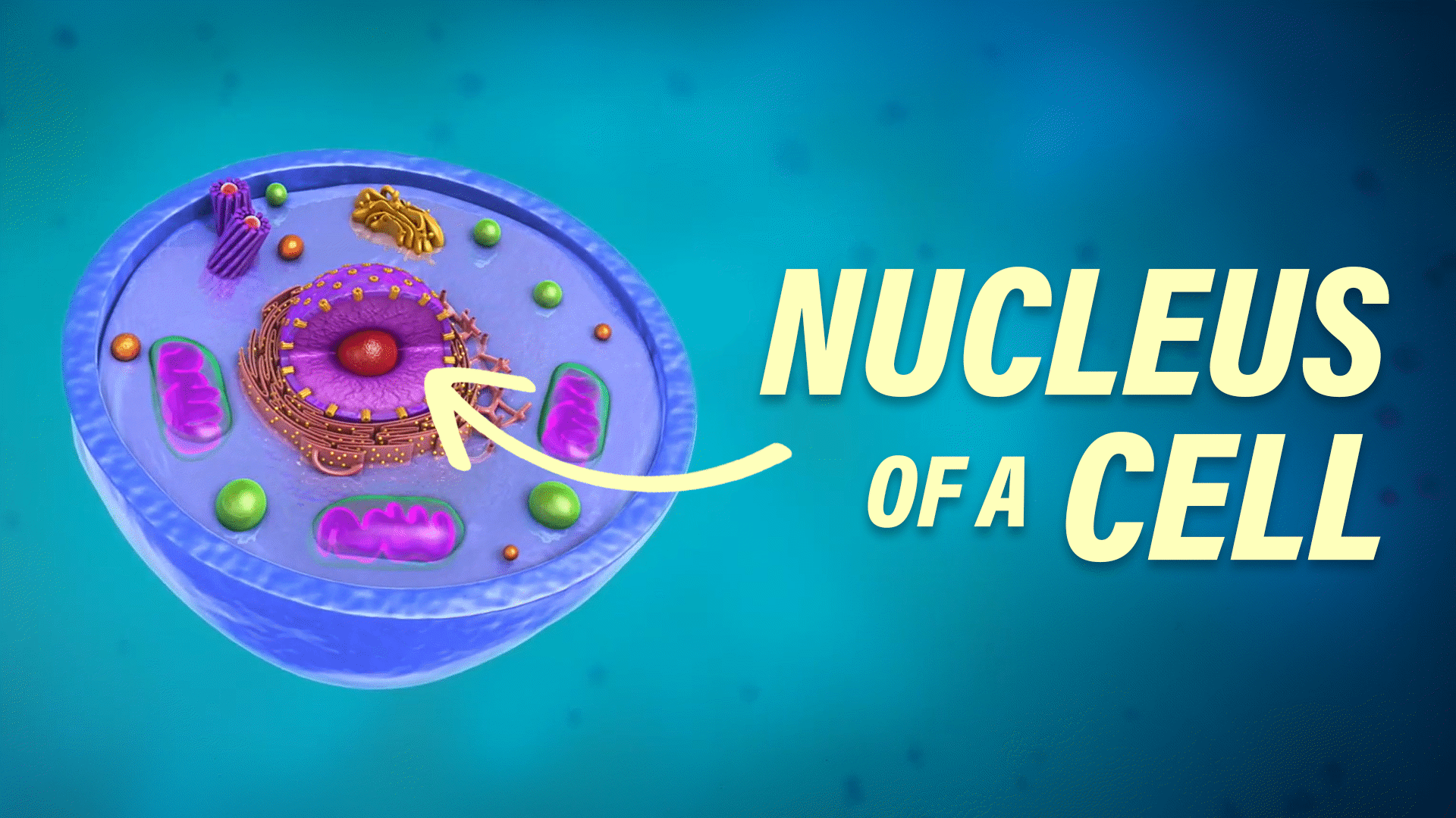 Cell: The Structural and Functional Unit of Life | ClickView